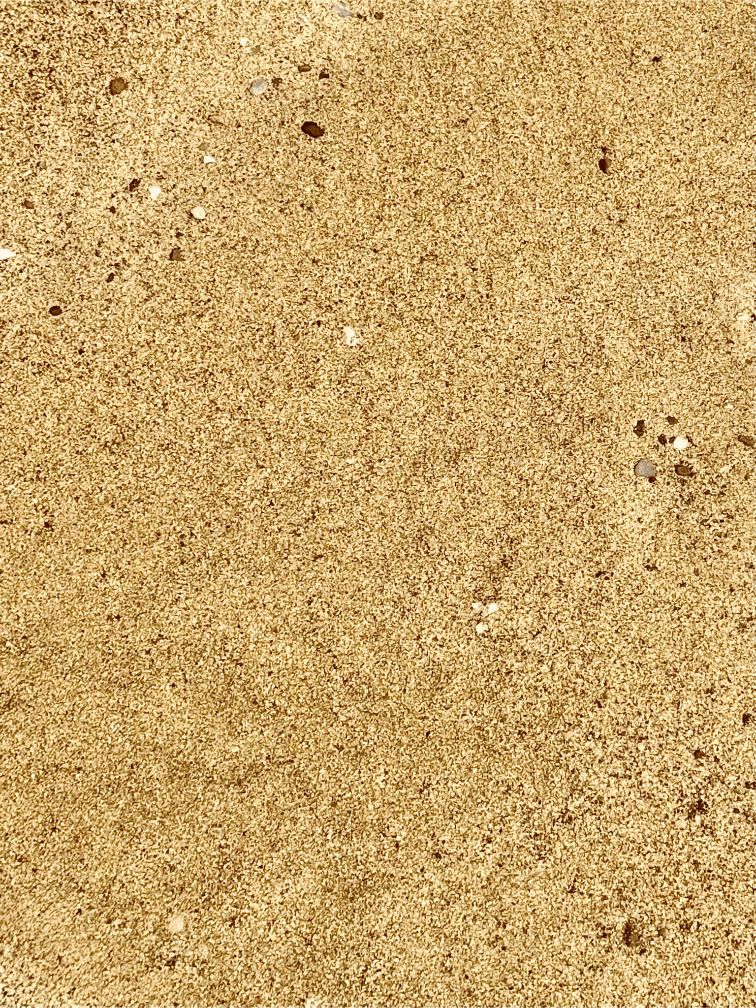 Sand – Mason Sand (Ohio per ton) – Sagamore Companies